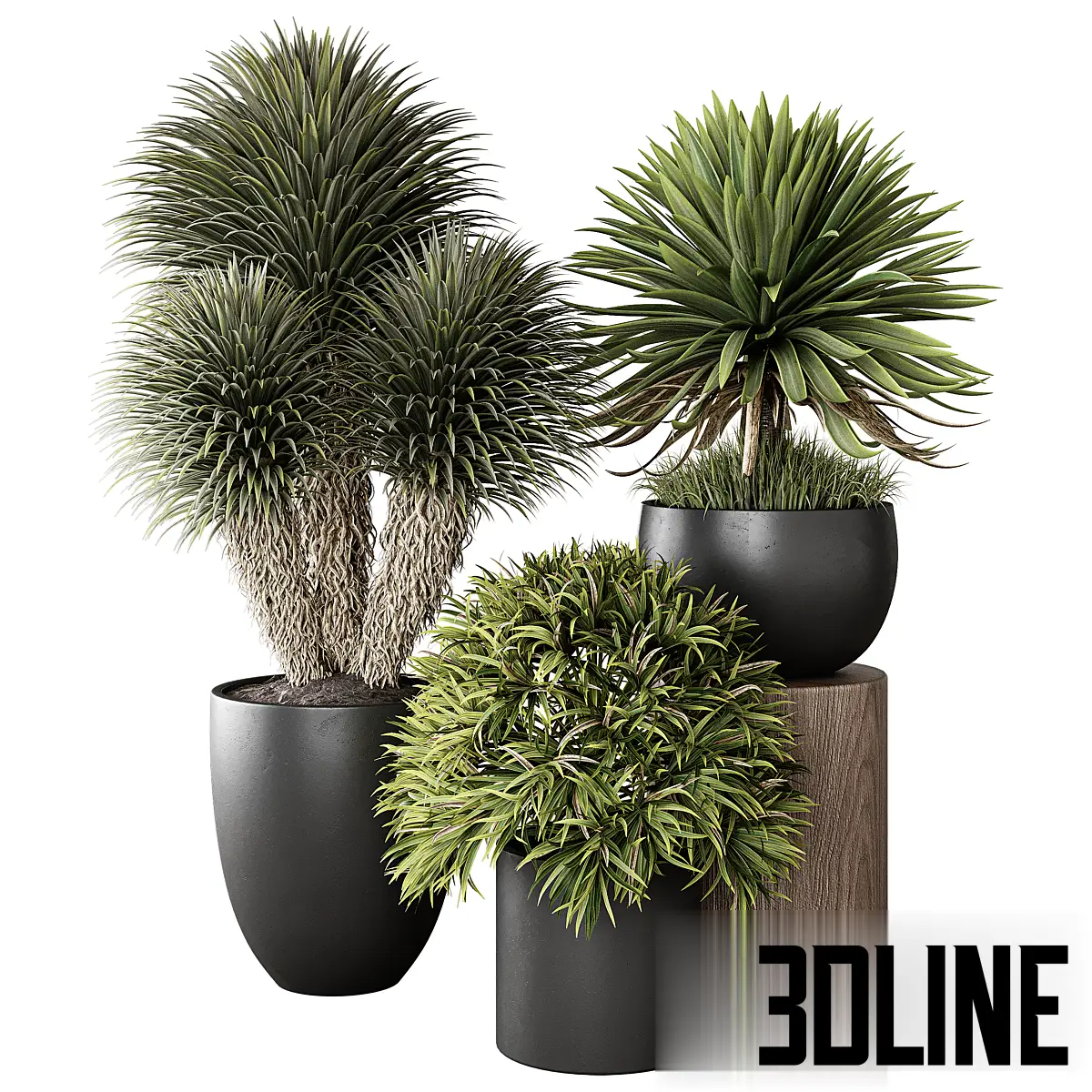 Indoor Plant 03 (3dline.net) - 3D Models - Download 3DLine.Net