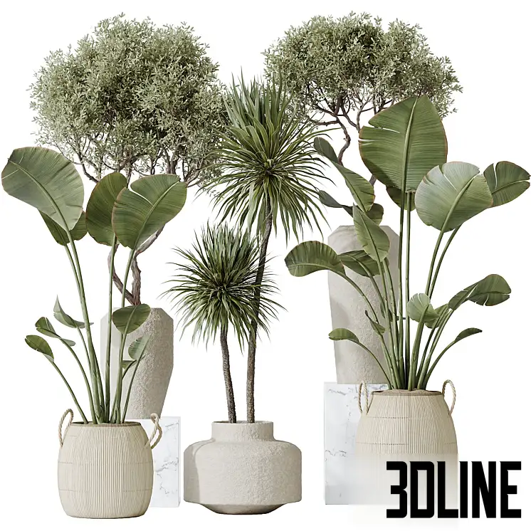 AV Indoor plants set 172 (3dline.net) - 3D Models - Download 3DLine.Net